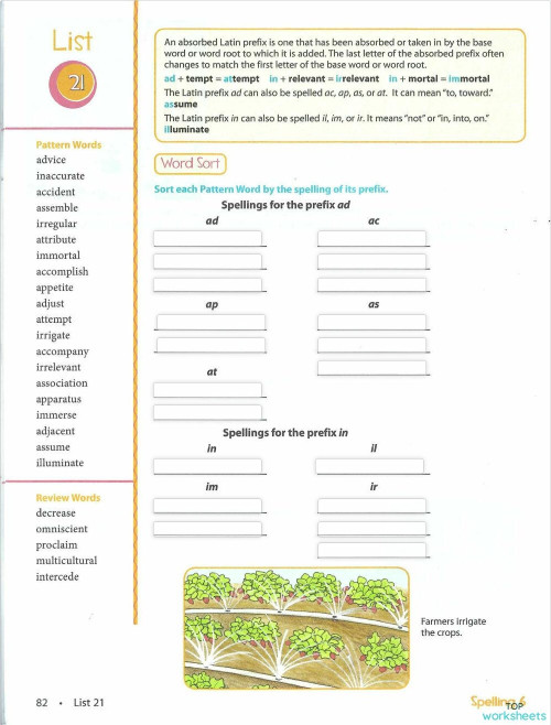 List 21: Word Sort Pg 82. Interactive worksheet | TopWorksheets