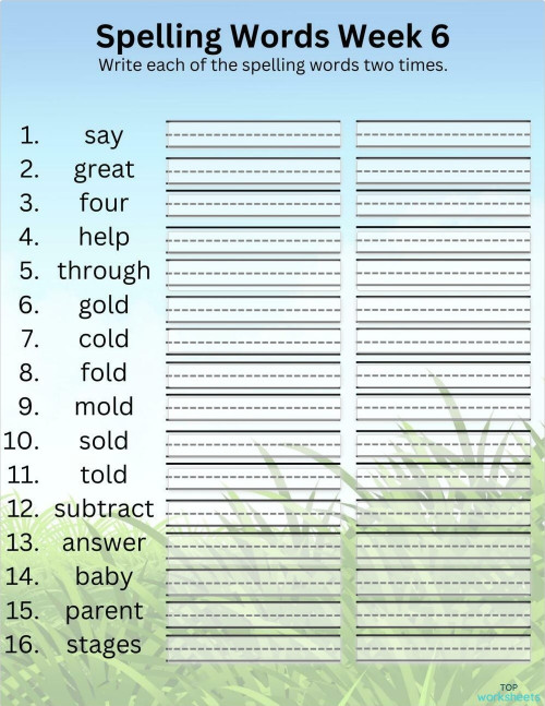 Spelling Words 6.1. Interactive worksheet | TopWorksheets