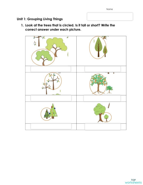 Y3 Holiday Homework. Interactive worksheet | TopWorksheets