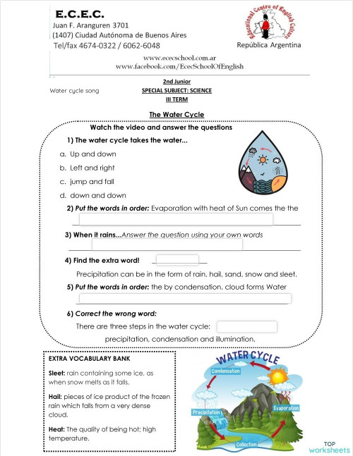 Class 30/10: Science. Interactive worksheet | TopWorksheets