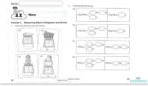 Chapter 11 : Mass (YM 3B WB pg 18-21). Interactive worksheet ...