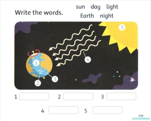 Daily Routines. Interactive worksheet | TopWorksheets