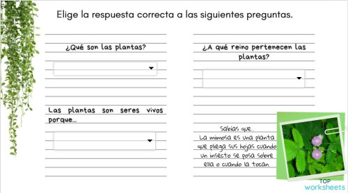 Las partes de la flor. Ficha interactiva | TopWorksheets