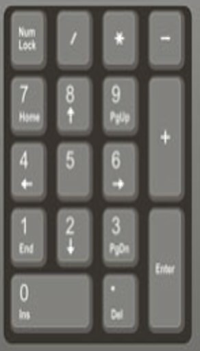 Parts of the keyboard. Interactive worksheet | TopWorksheets