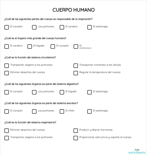 CUERPO HUMANO. Ficha interactiva | TopWorksheets