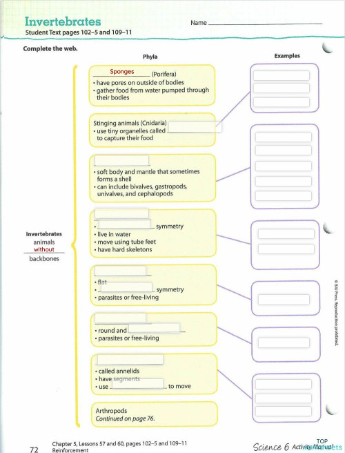 Lesson 57: Invertebrates Pg 72. Interactive worksheet | TopWorksheets