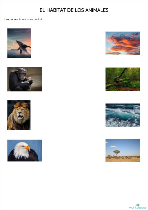 EL HÁBITAT DE LOS ANIMALES. Ficha interactiva | TopWorksheets