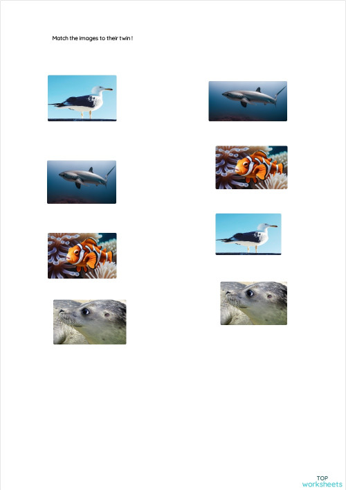 Match twins sea animals. Interactive worksheet | TopWorksheets