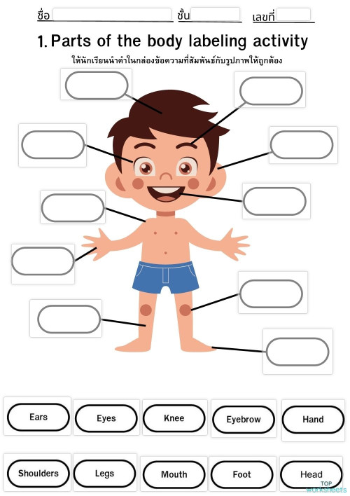 My Body ชั้นประถมศึกษาปีที่6 ใบงานเชิงโต้ตอบ | TopWorksheets