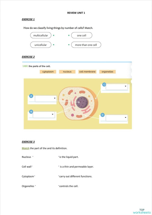 Review Science Unit 1. Interactive worksheet | TopWorksheets