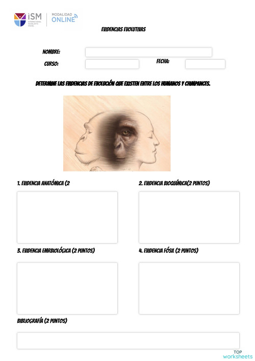 B2 - SEMANA 5 - AIR 4 - EVIDENCIA EVOLUTIVA. Ficha interactiva ... B2 - SEMANA 5 - AIR 4 - EVIDENCIA EVOLUTIVA. Ficha interactiva ...