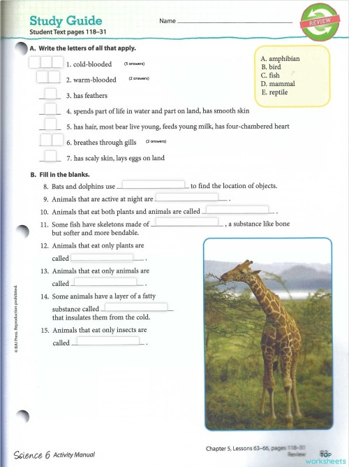 Lesson 66: Study Guide Pg 83-84. Interactive worksheet | TopWorksheets