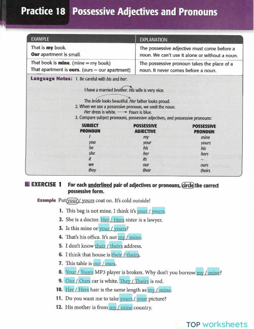Possessive Adjectives and Pronouns English as a Second Language (ESL ...