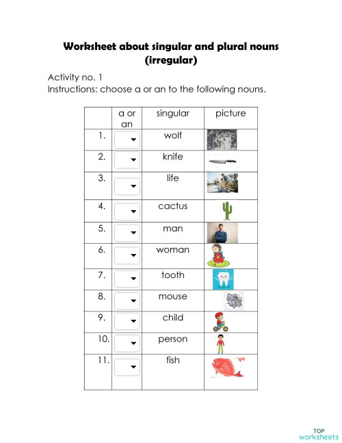 worksheet about singular and plural nouns (irregular). Interactive ...