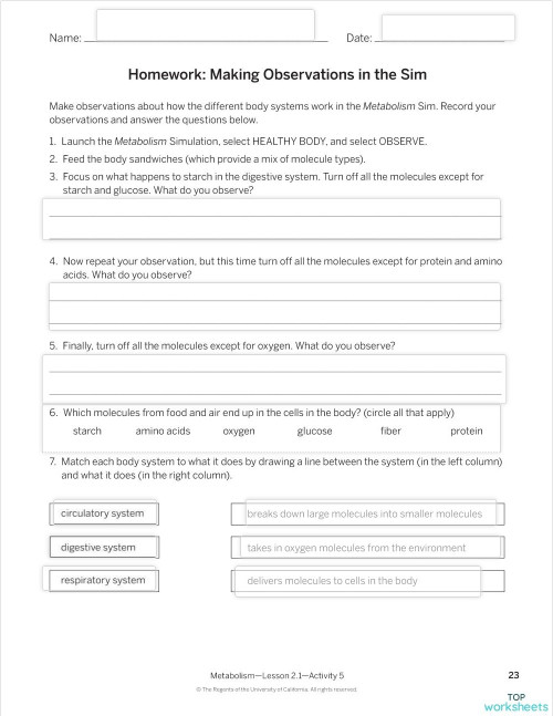 Science 7 - Observing the molecules in the Sim. Interactive worksheet ...