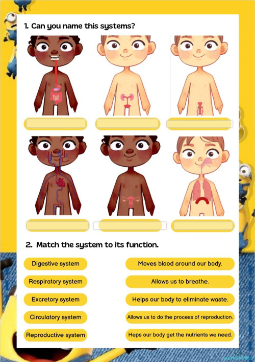 Unit 3. Our bodies.. Interactive worksheet | TopWorksheets