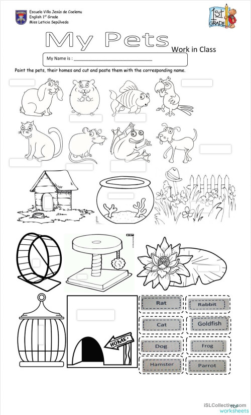 My Pets (Work in Class). Interactive worksheet | TopWorksheets