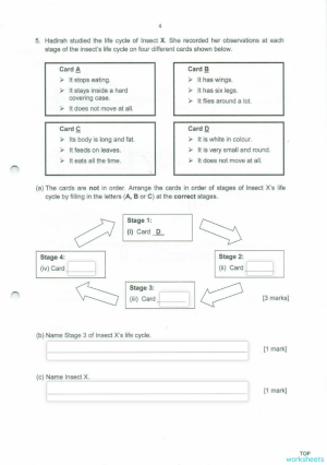 Natural science: interactive worksheets and online exercises ...