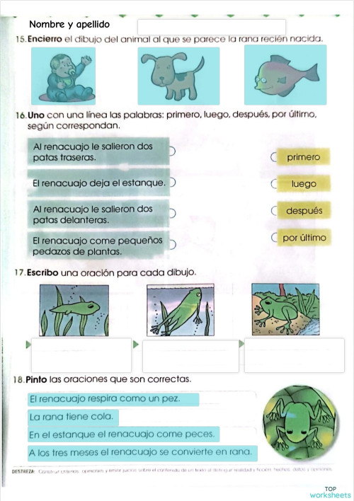 Lectura la rana. Ficha interactiva | TopWorksheets