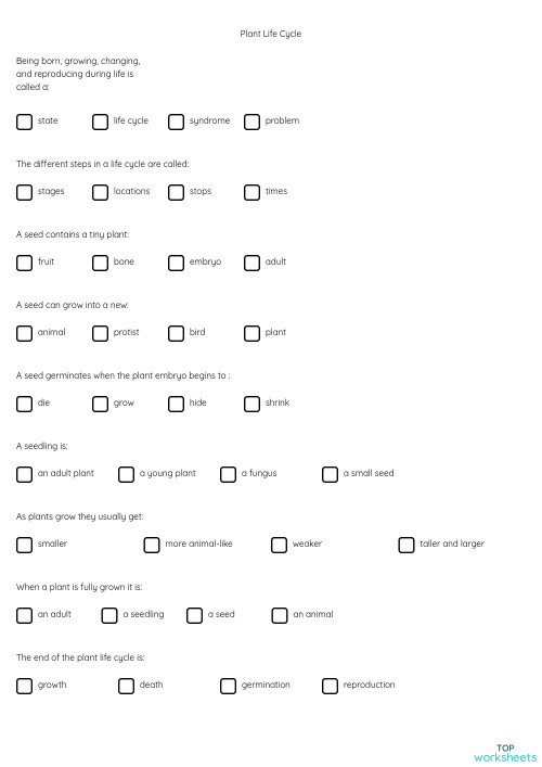 Plant Life Cycle. Interactive worksheet | TopWorksheets