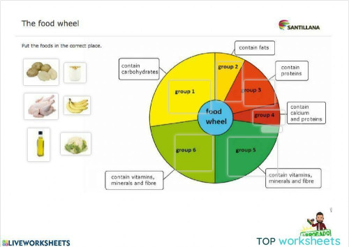 The food wheel. Interactive worksheet | TopWorksheets
