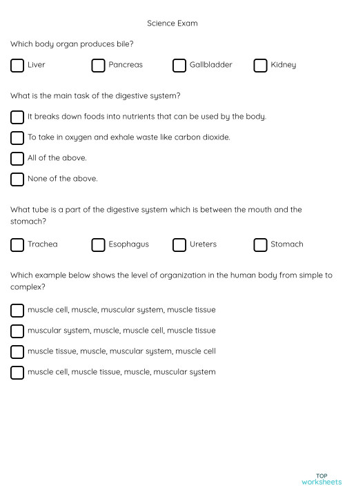 Science Exam. Interactive worksheet | TopWorksheets