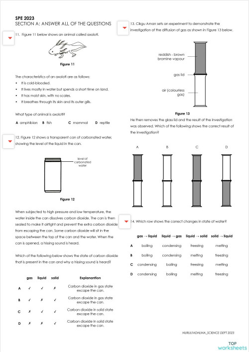 Volume Of Irregular Solids Worksheet