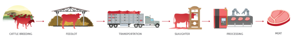 The Business Sectors. Interactive worksheet | TopWorksheets