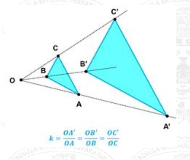 Homotecia – Primero Medio. Ficha interactiva | TopWorksheets