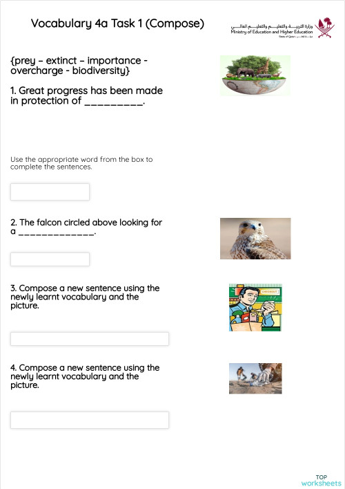 Year 11: interactive worksheets and online exercises | TopWorksheets