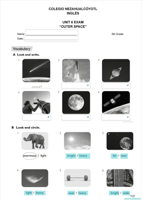 5th Grade Unit 6 Exam. Ficha interactiva | TopWorksheets