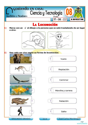 LA LOCOMOCIÓN. Ficha interactiva | TopWorksheets