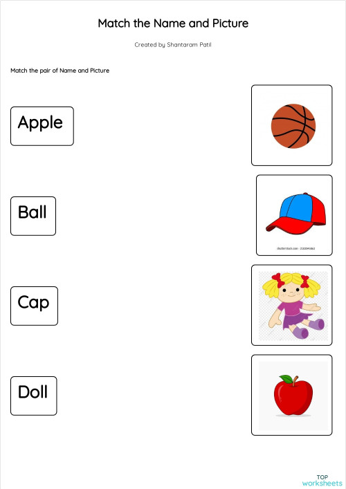 Match the Name and Picture. Interactive worksheet | TopWorksheets