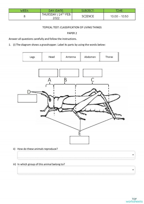 TOPICAL TEST P2 CLASSIFICATION OF LIVING THINGS. Interactive worksheet ...