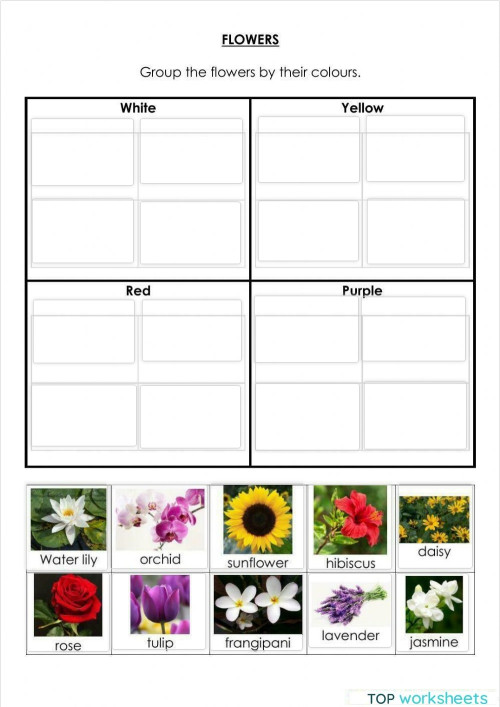 Flowers. Interactive worksheet | TopWorksheets