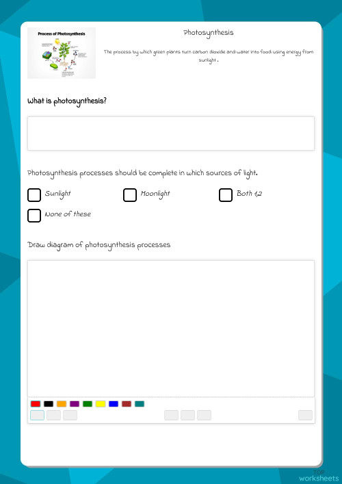 Photosynthesis. Interactive worksheet | TopWorksheets