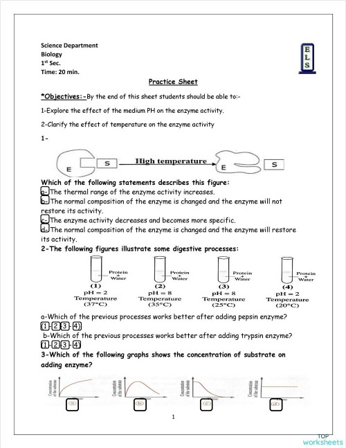 Enzymes (part 2). Interactive worksheet | TopWorksheets