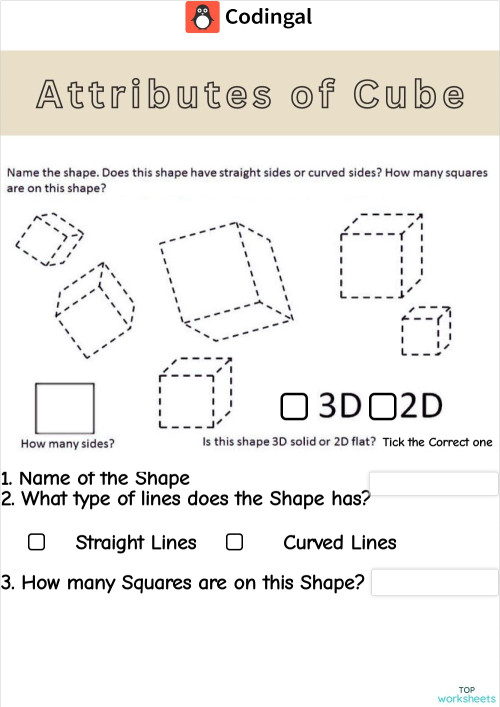 M_G02M12L60_WA02_Attributes of a Cube. Interactive worksheet ...