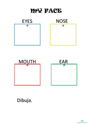 MY FACE. Interactive worksheet | TopWorksheets
