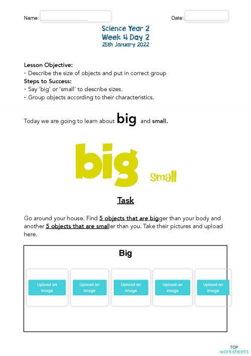 Classifying - Sizes. Interactive worksheet | TopWorksheets