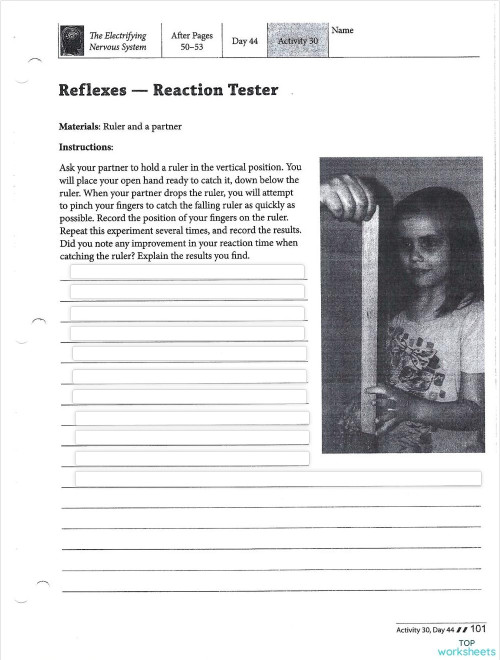 Activity 30: Reflexes Pg 101. Interactive worksheet | TopWorksheets