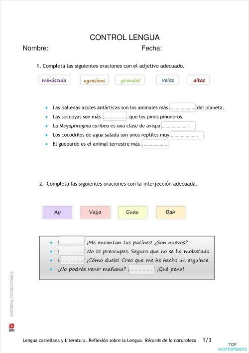 Adjetivos: fichas interactivas y ejercicios online | TopWorksheets