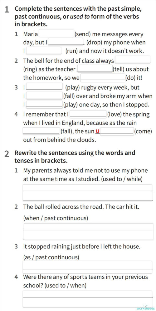 Past Simple Tense. Interactive worksheet | TopWorksheets