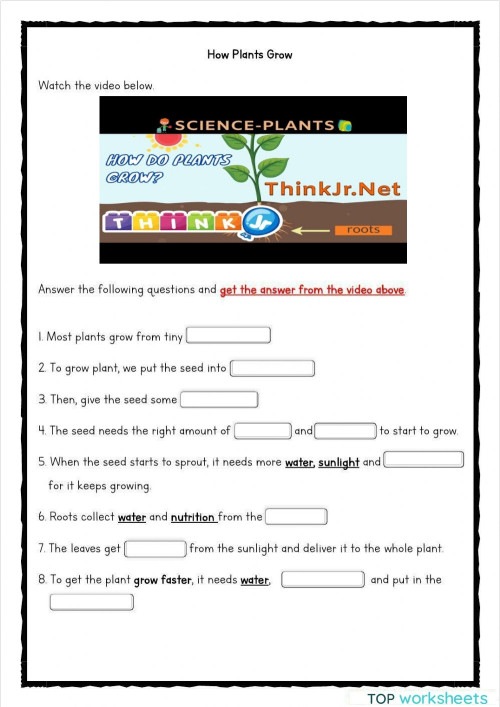 How Plants Grow. Interactive worksheet | TopWorksheets