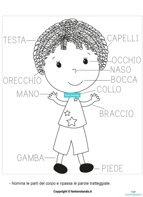 LE PARTI DEL CORPO. Scheda interattiva | TopWorksheets