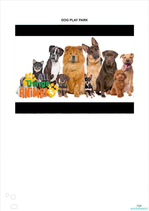 Dog play park. Interactive worksheet | TopWorksheets