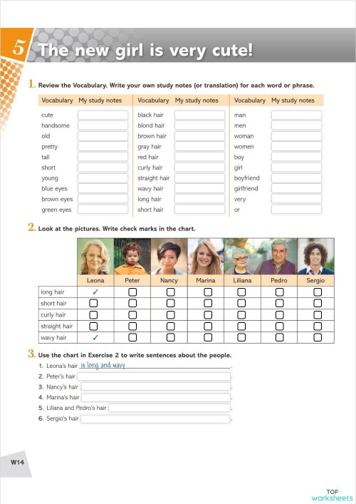 WB vocabulary adjectives. Interactive worksheet | TopWorksheets