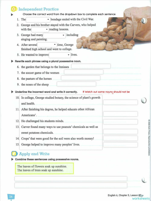 Possessive: interactive worksheets and online exercises | TopWorksheets