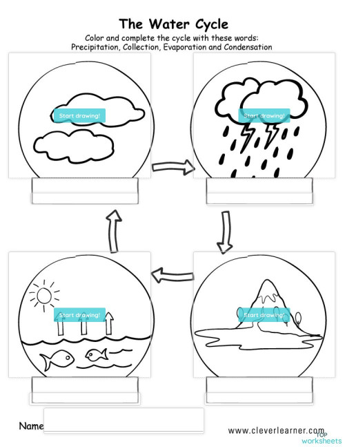 Water Cycle. Interactive worksheet | TopWorksheets