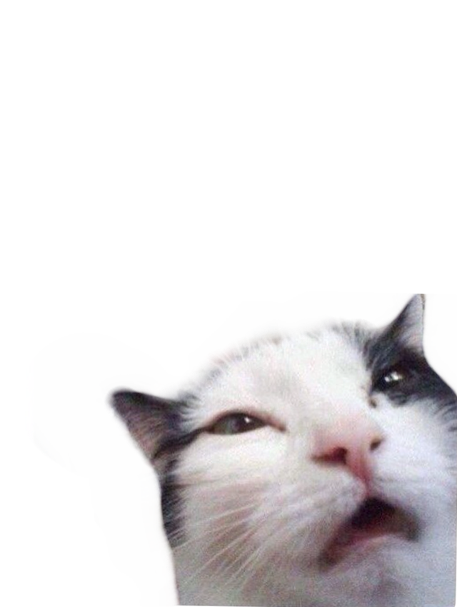 Conditionals. Interactive worksheet | TopWorksheets